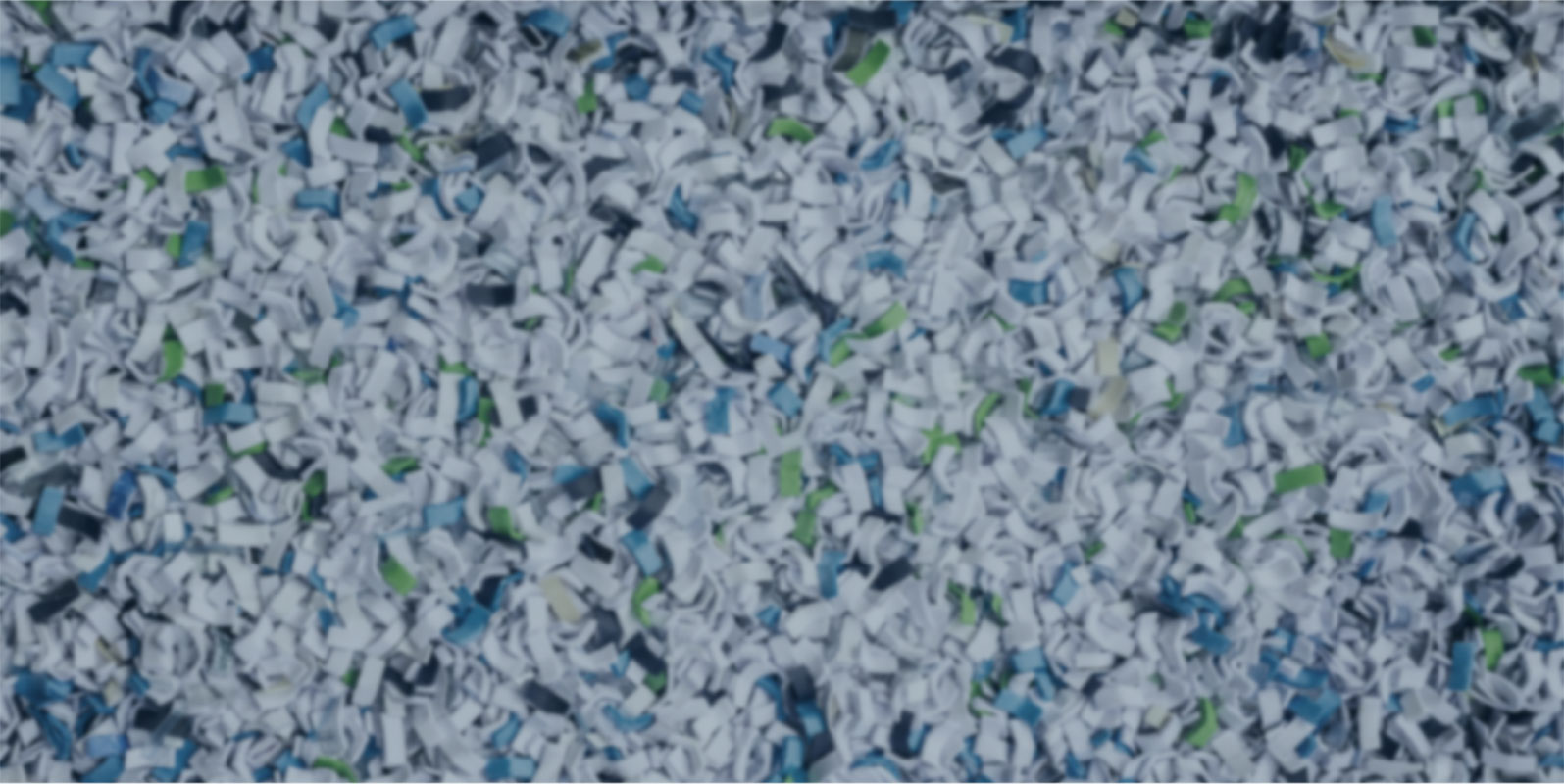 Purging Business Records: A Guide To Efficiency And Compliance